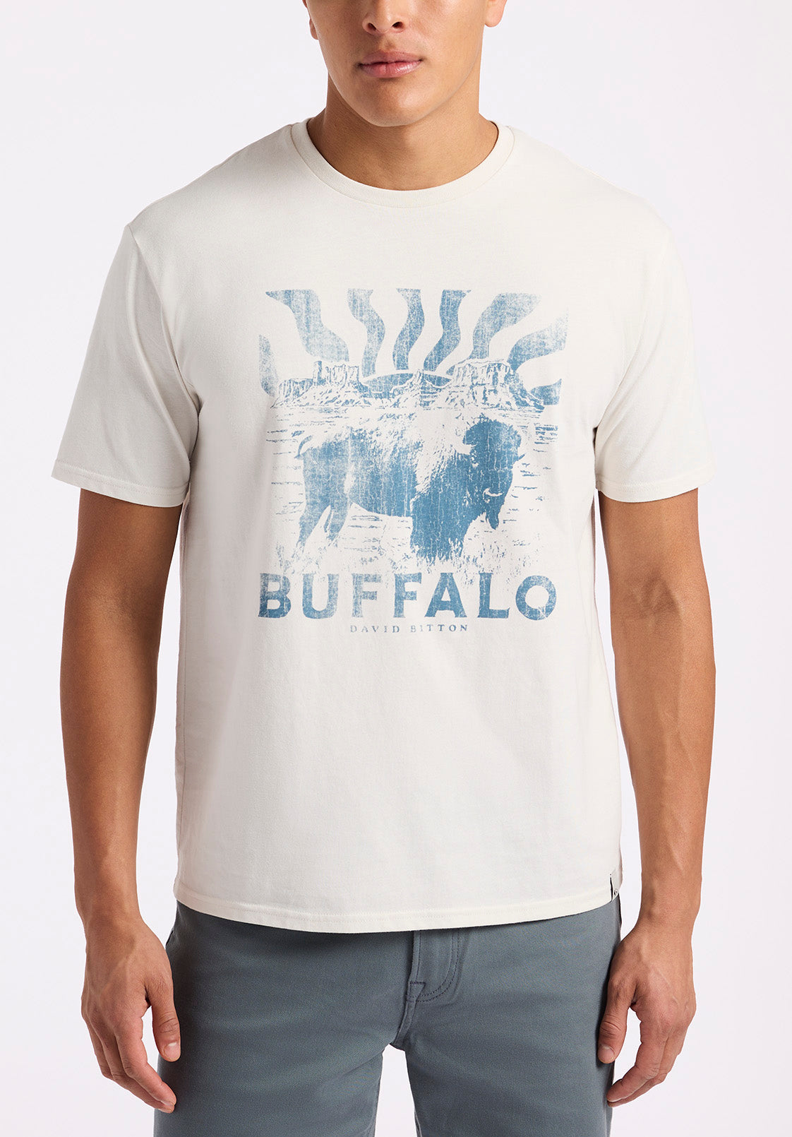 Tison Men's Graphic T-Shirt with Buffalo Print, Milk – Buffalo Jeans